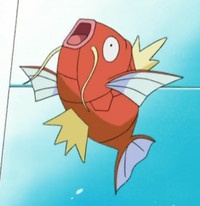 splash magikarp