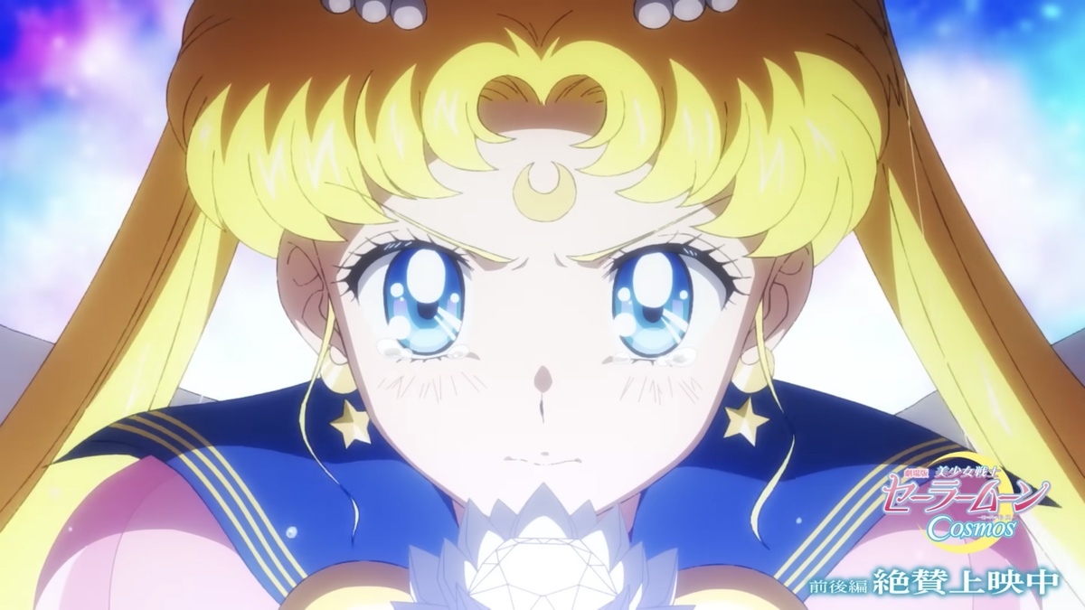 Sailor Moon The Sailor Moon Costume