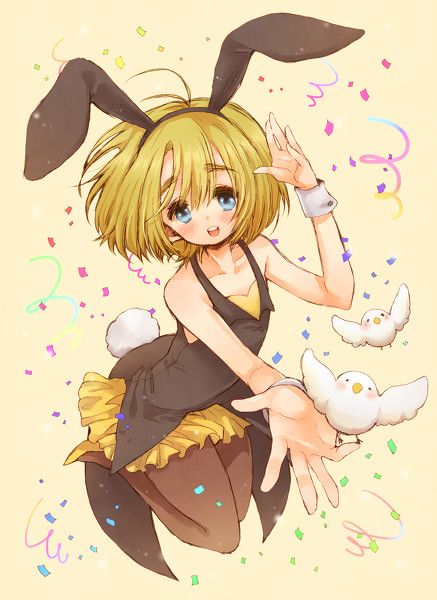 armin bunny