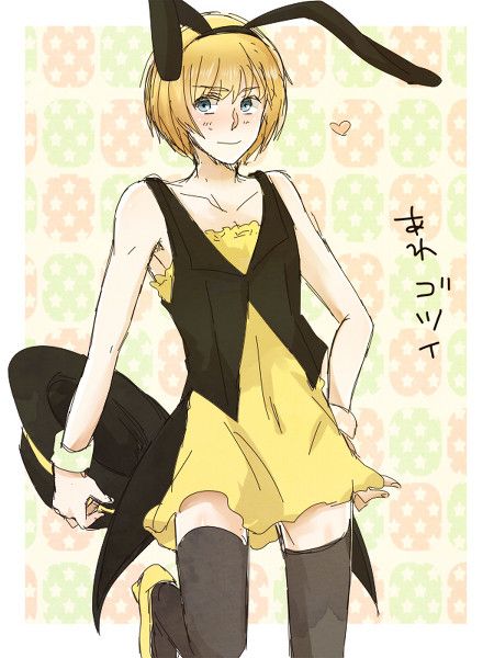 armin bunny