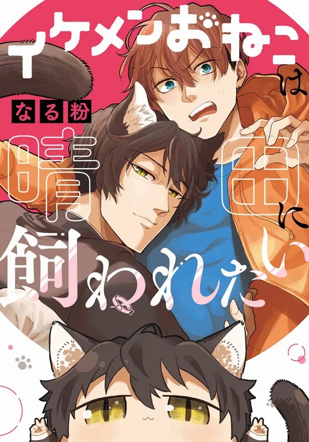 Anime News, Top Stories & In-Depth Anime Insights - Crunchyroll News
