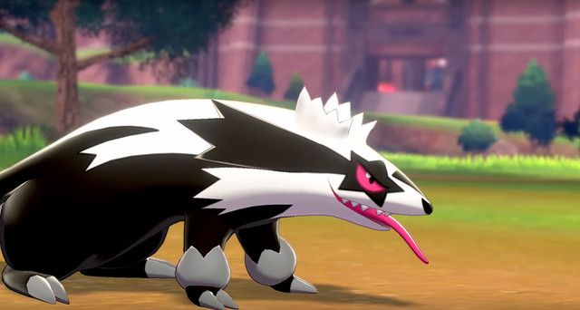 zigzagoon pokemon shield