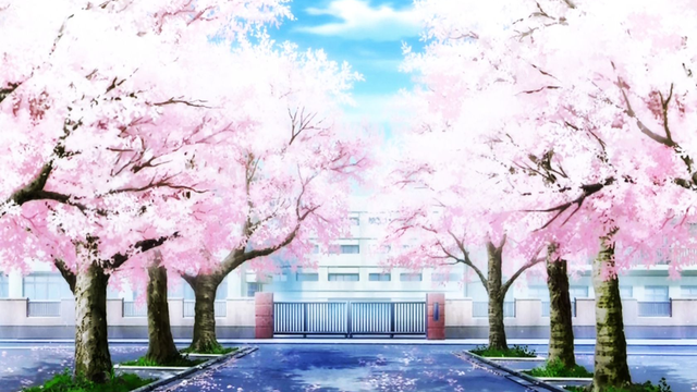 anime sakura tree