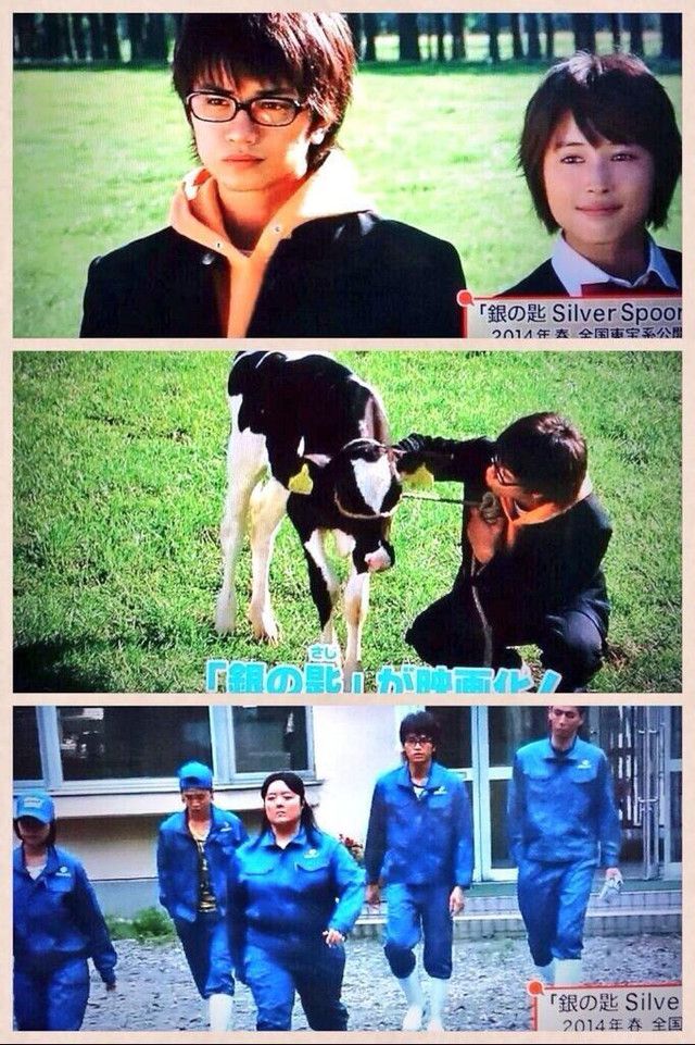 Silver Spoon Live Action