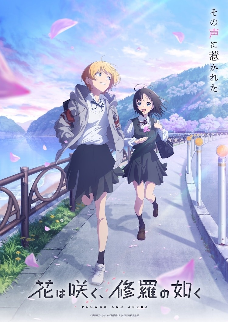 Cúlra Anime Foraoise San Oíche