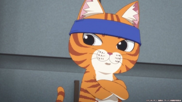 red cat anime