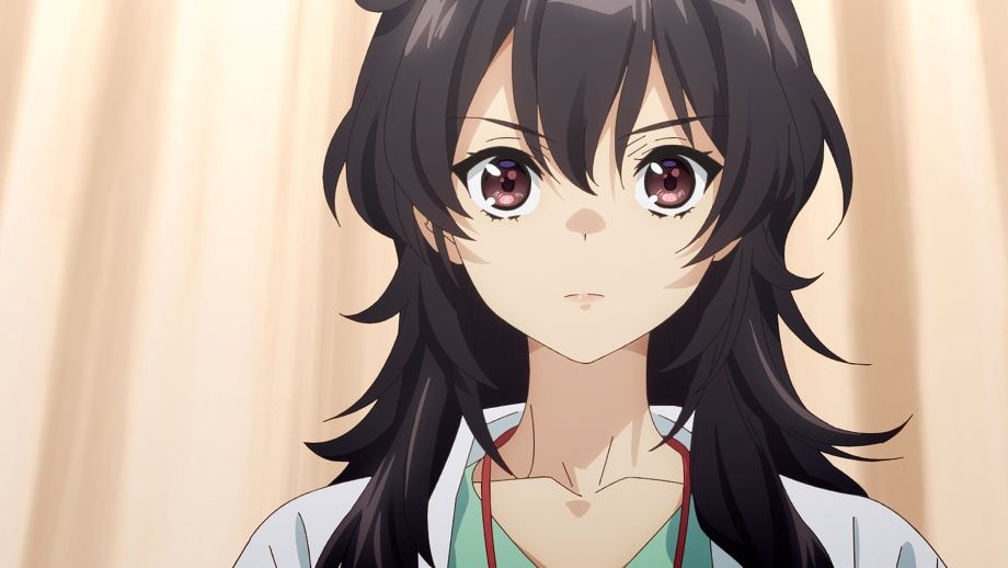 Medico De Anime