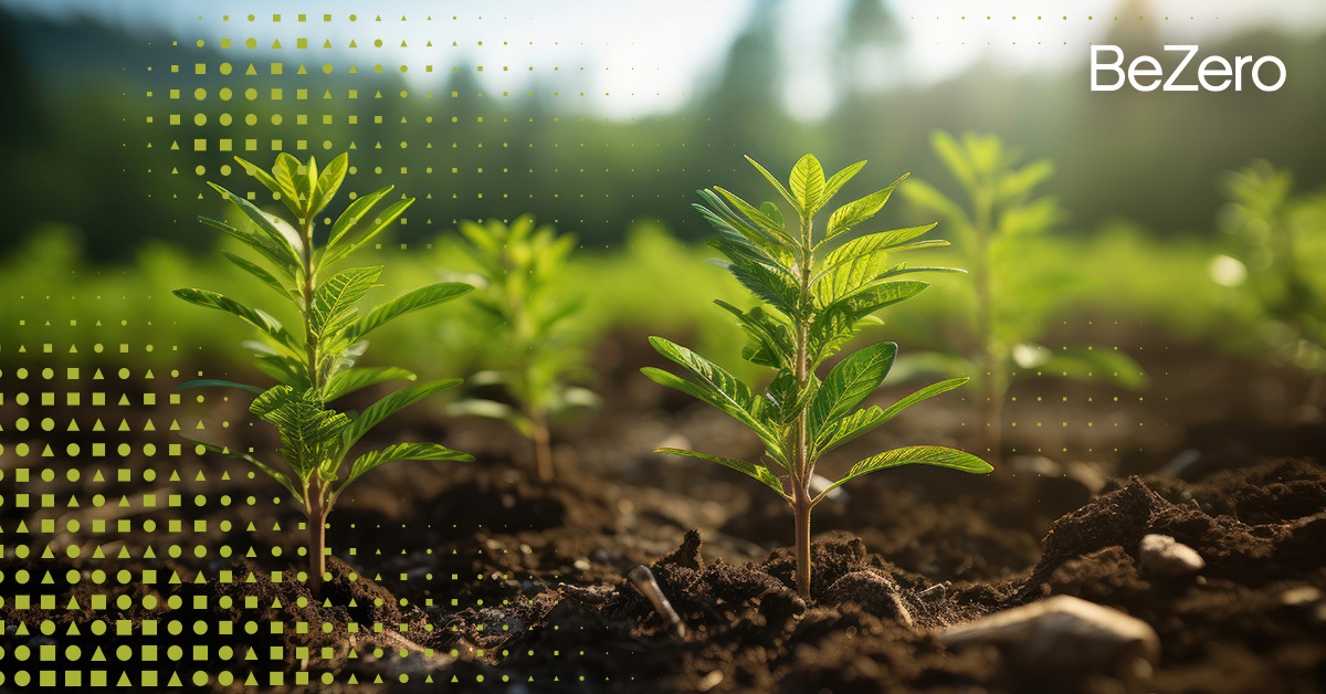 Afforestation, Reforestation and Restoration - On the Choice of Species ...