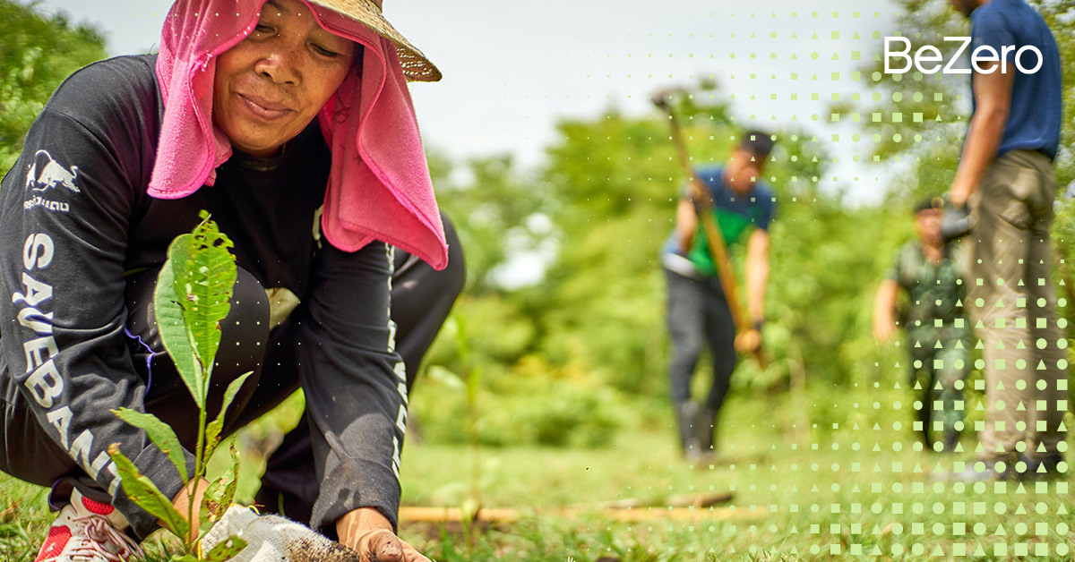 Assessment of Verra's new VM0047 ARR Methodology | BeZero Carbon