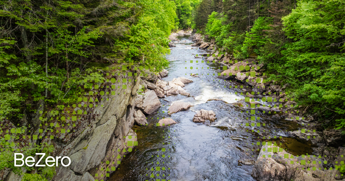 The fifth wave of CCP labels: biochar and IFM | BeZero Carbon