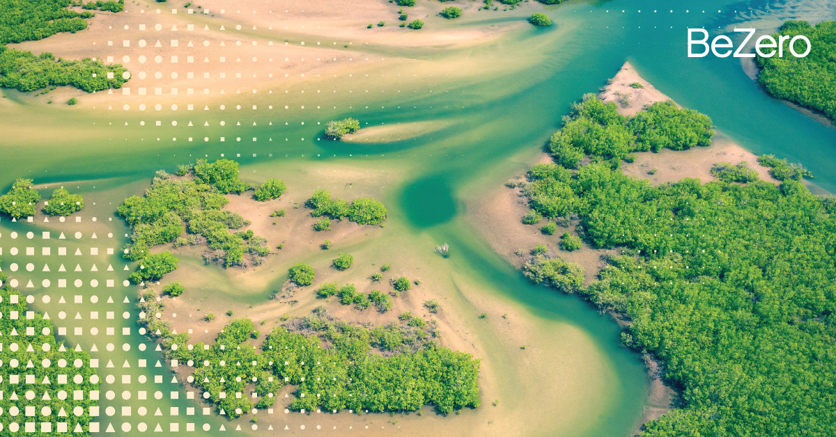 Mangroves Methodology | BeZero Carbon
