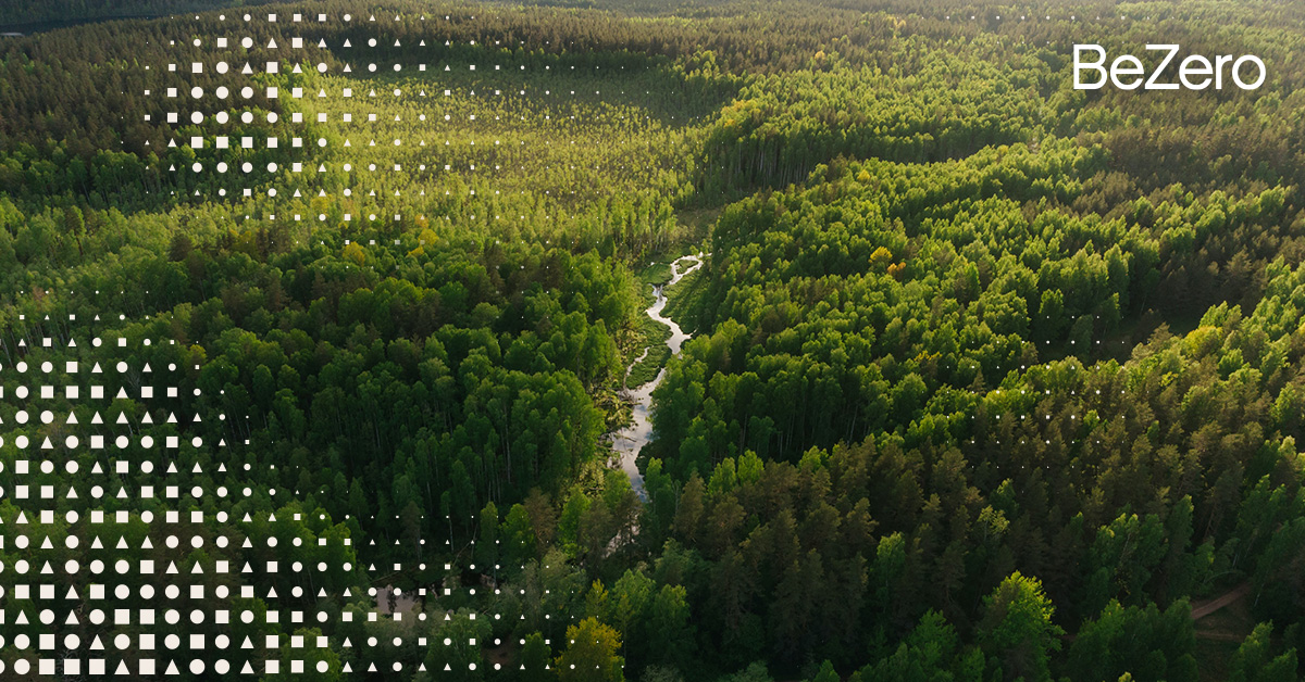 Buffer Pools: Mitigating the Risk of Reversals | BeZero Carbon