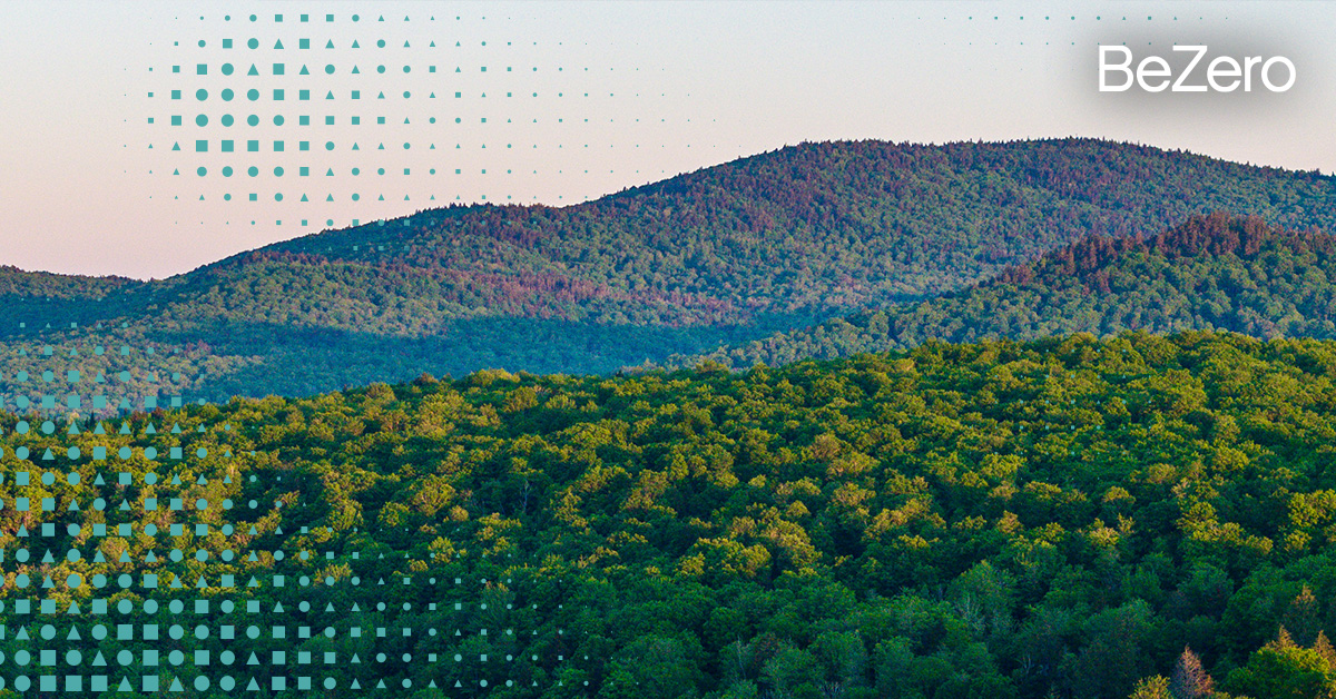 Webinar - BeZero Carbon x Developers: ARR Insights | BeZero Carbon