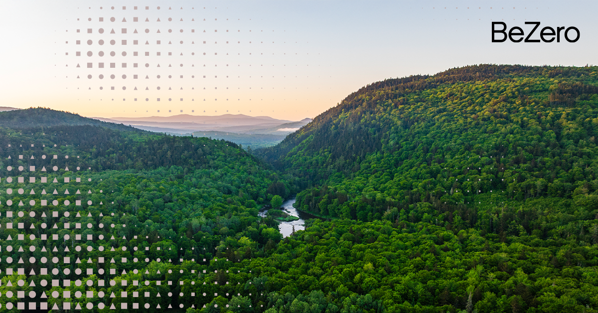 BeZero Review of US IFM Project Ratings | BeZero Carbon