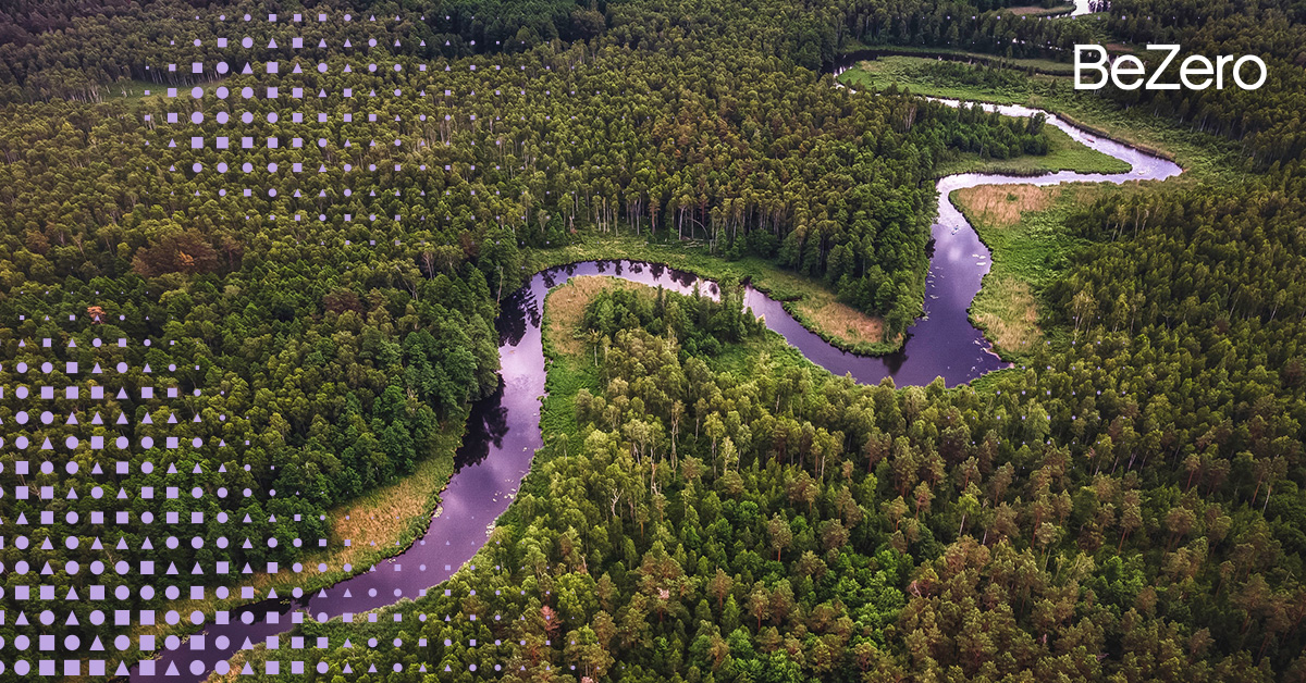 BeZero Carbon partners with leading Brazilian scientists | BeZero Carbon