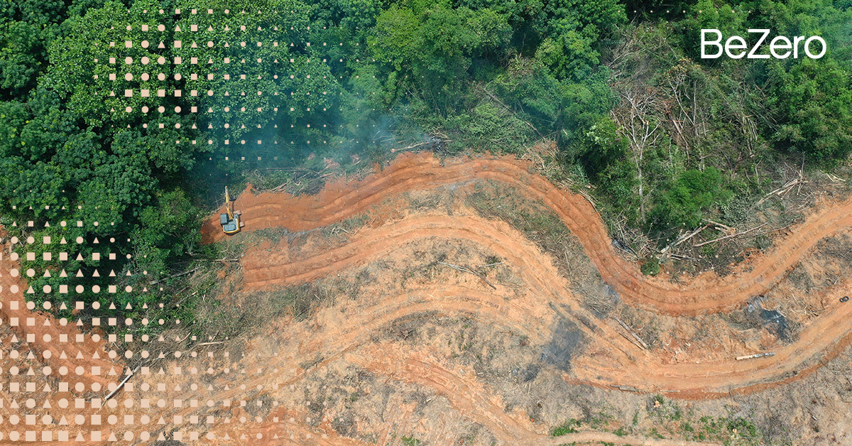 Assessment of VCS Consolidated REDD Methodology | BeZero Carbon