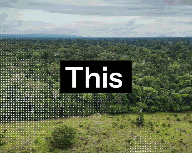 What Does Climate Action Look Like? | BeZero Carbon