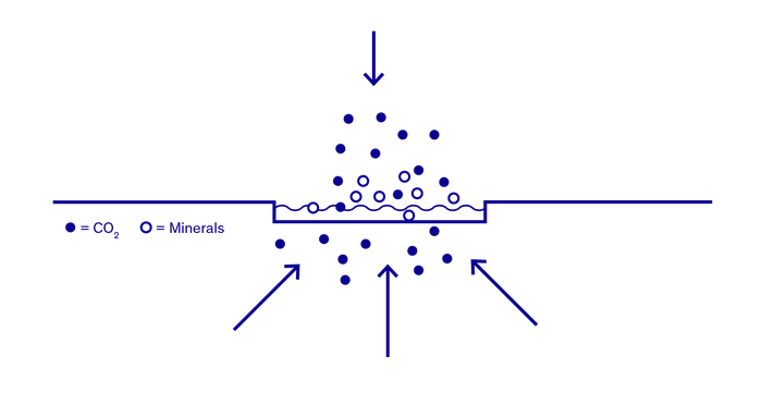 Carbon Dioxide Removal Explained | BeZero Carbon