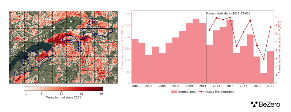 BeZero’s Risk Factor Series: Non-permanence | BeZero Carbon