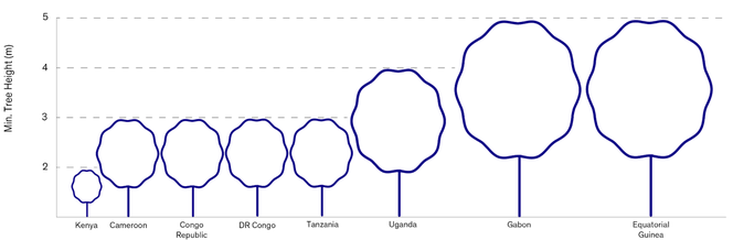 Rating Forestry Projects in the VCM Guide | BeZero Carbon