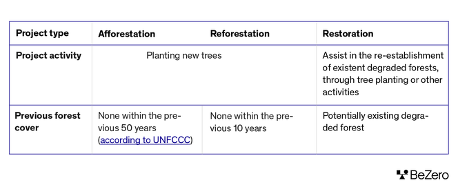Afforestation, Reforestation and Restoration - The Root of Carbon ...