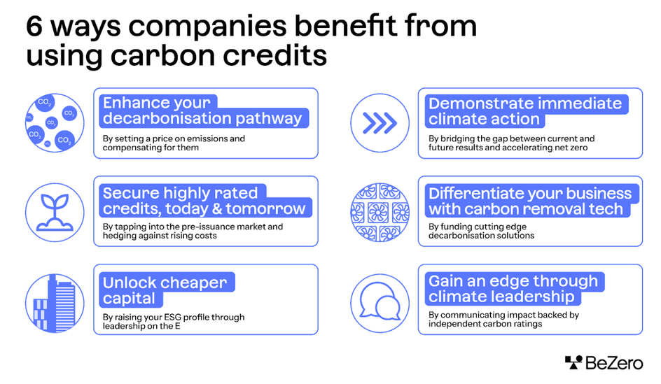6 Ways Companies Benefit From Using Carbon Credits | BeZero Carbon