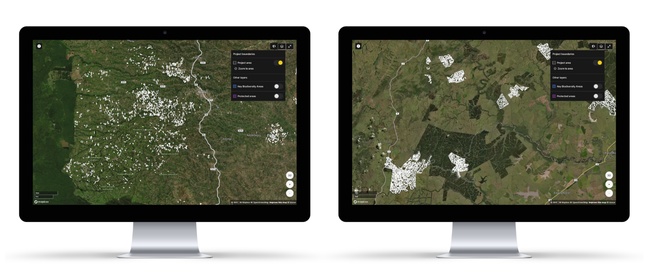 Sector Snapshot: ARR | BeZero Carbon