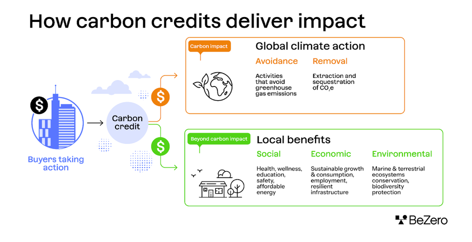 What Does Climate Action Look Like? | BeZero Carbon