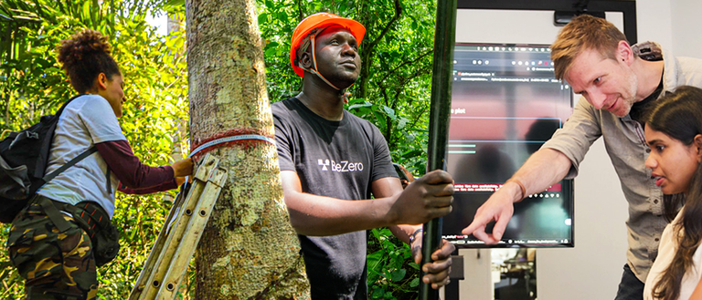 Project Developers | BeZero Carbon