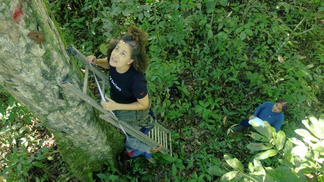 Applied Geospatial Analysis | BeZero Carbon