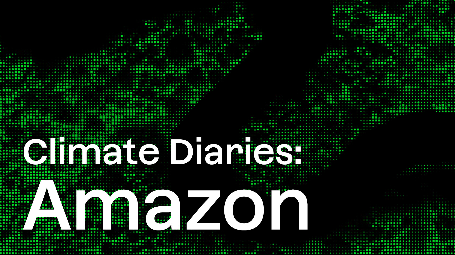 Climate Diaries: Amazon | BeZero Carbon