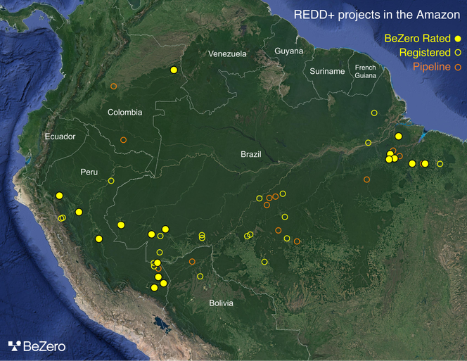 In the REDD: Amazon Forest Degradation | BeZero Carbon