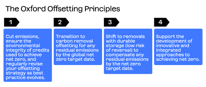 How to Communicate Credible Impact With Carbon Ratings | BeZero Carbon
