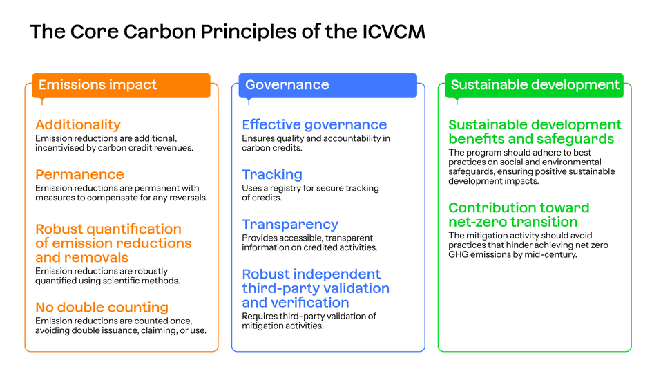Why Carbon Ratings Complement Labels in the Search for Quality | BeZero ...