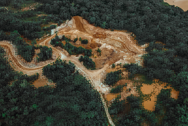 Bezeros Avoided Deforestation Methodology Bezero Carbon