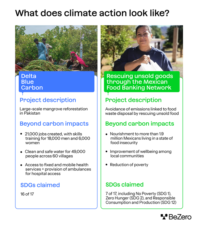 What Does Climate Action Look Like? | BeZero Carbon