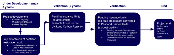 The IUCN Peatland Carbon Code and Carbon Markets | BeZero Carbon