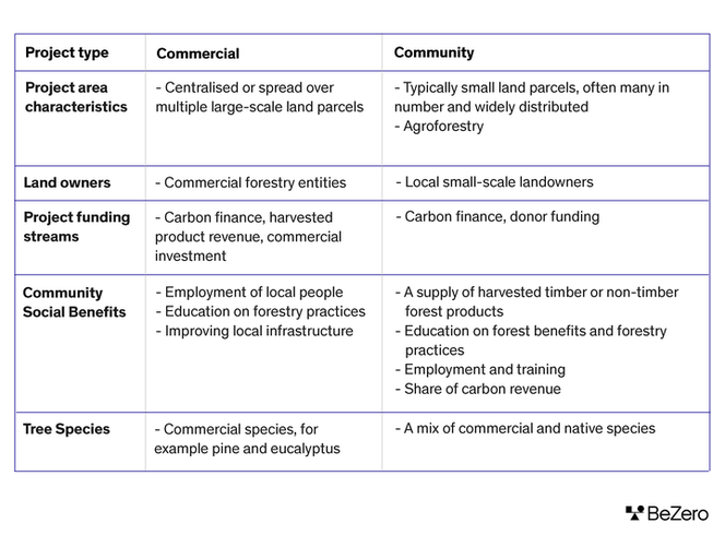 Afforestation, Reforestation and Restoration - The Root of Carbon ...