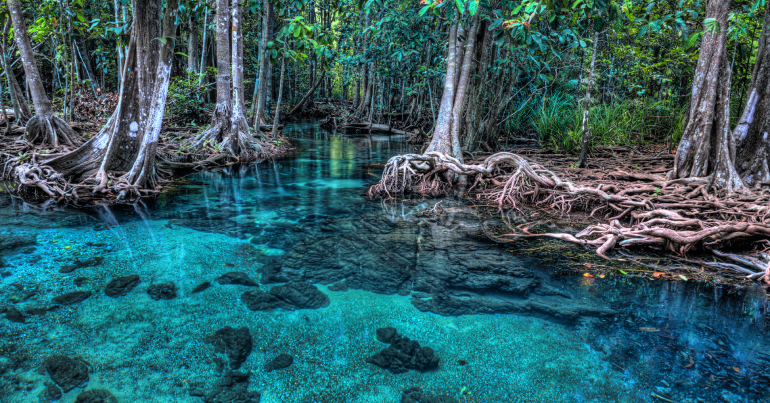 Testimonials: Cloverly | BeZero Carbon