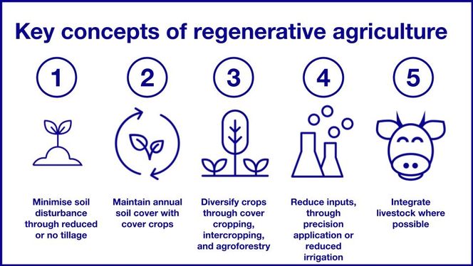 Regenerative Agriculture and BeZero's Ex Ante Offering | BeZero Carbon