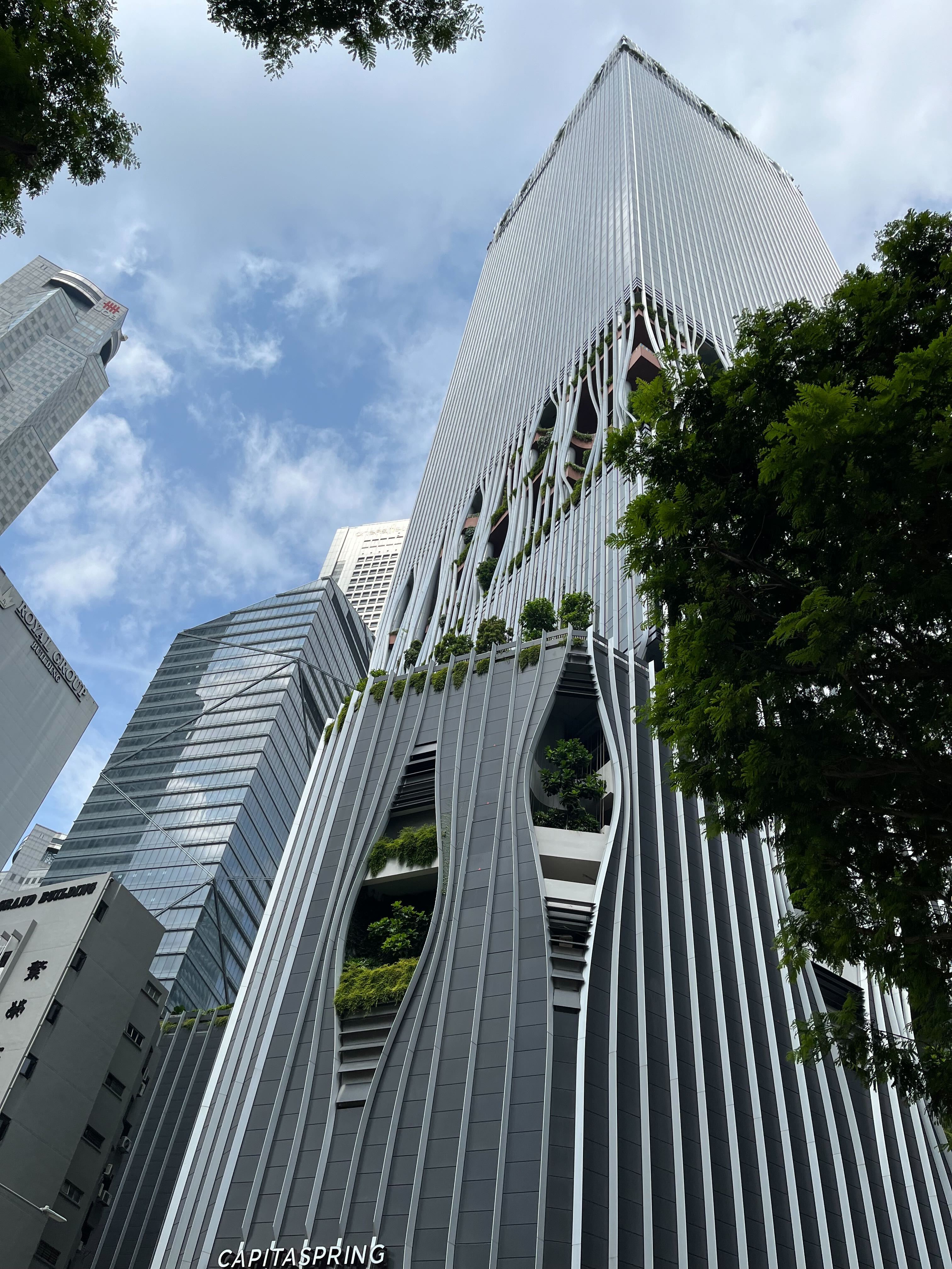 The Value Of Mentorship Insights On Growth Innovation And Positive