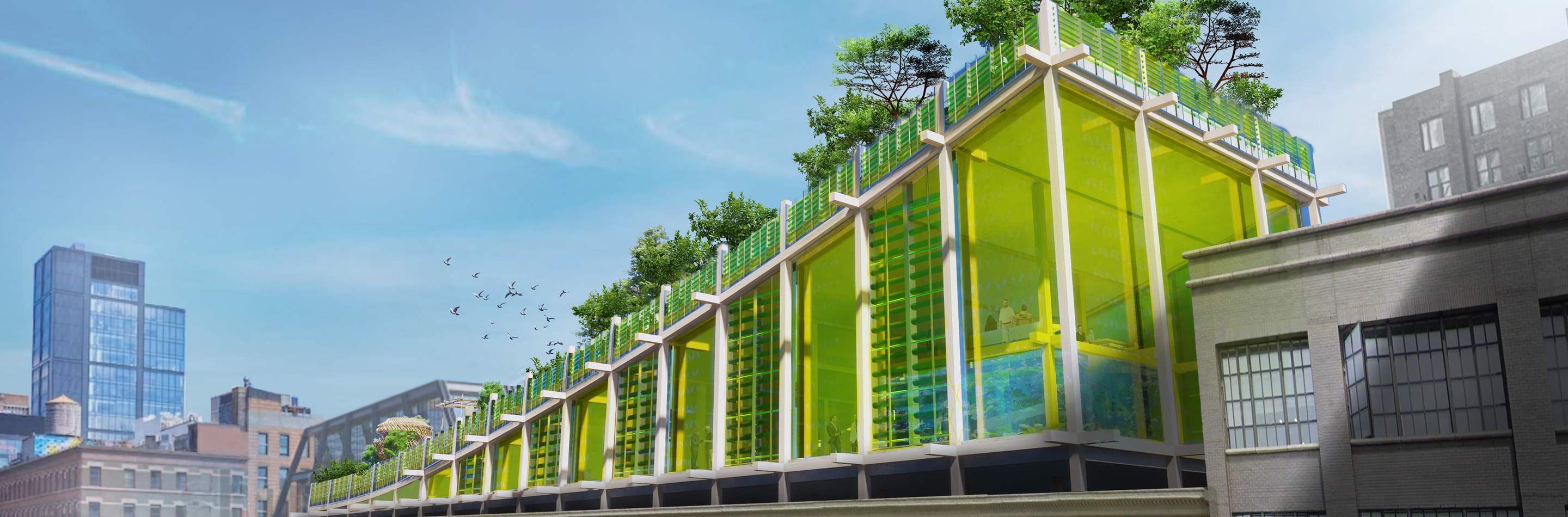 Helena Building Green Roof Green Building | Tag | ArchDaily