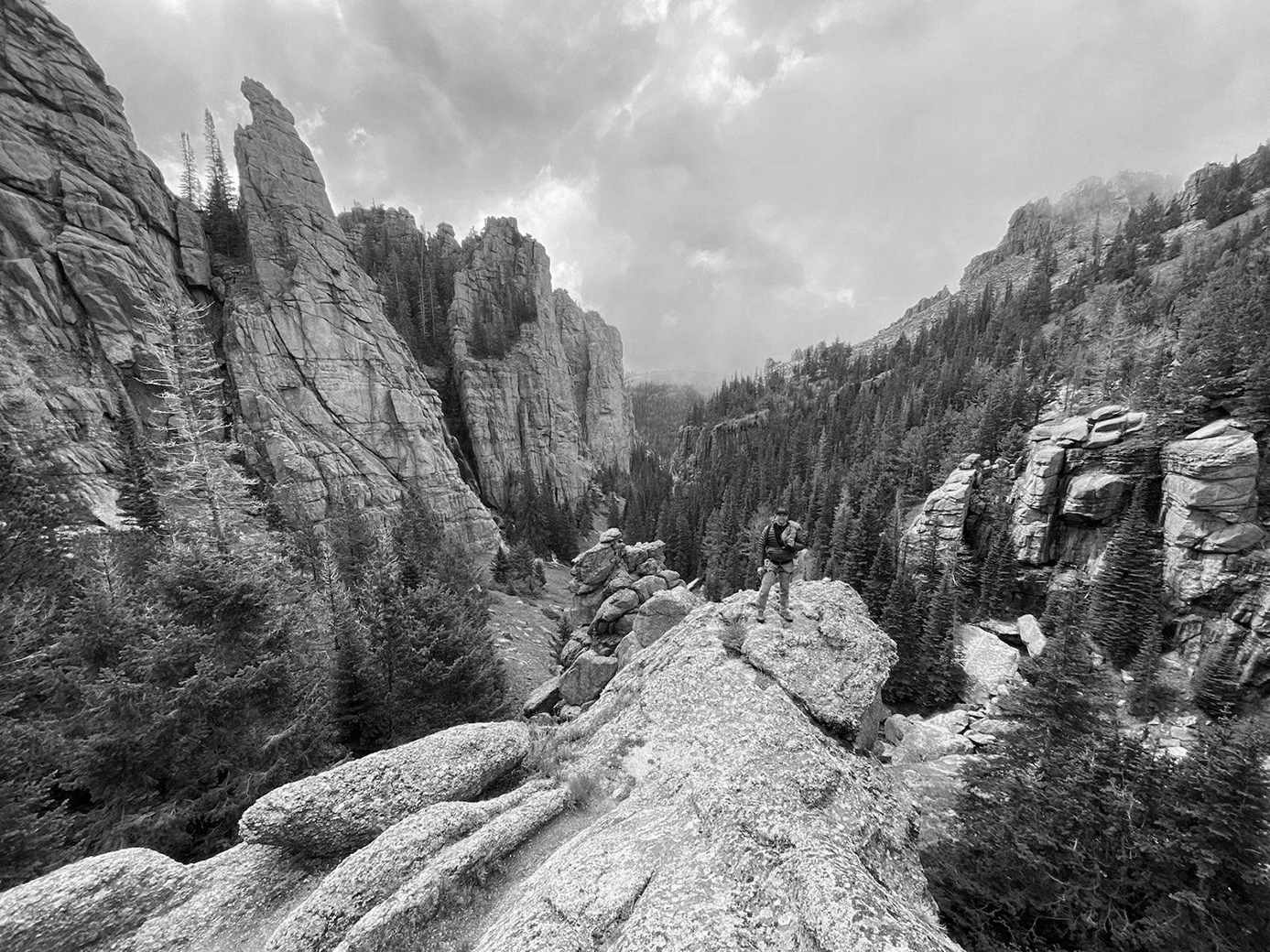 Wild Wyoming | The Luminaire