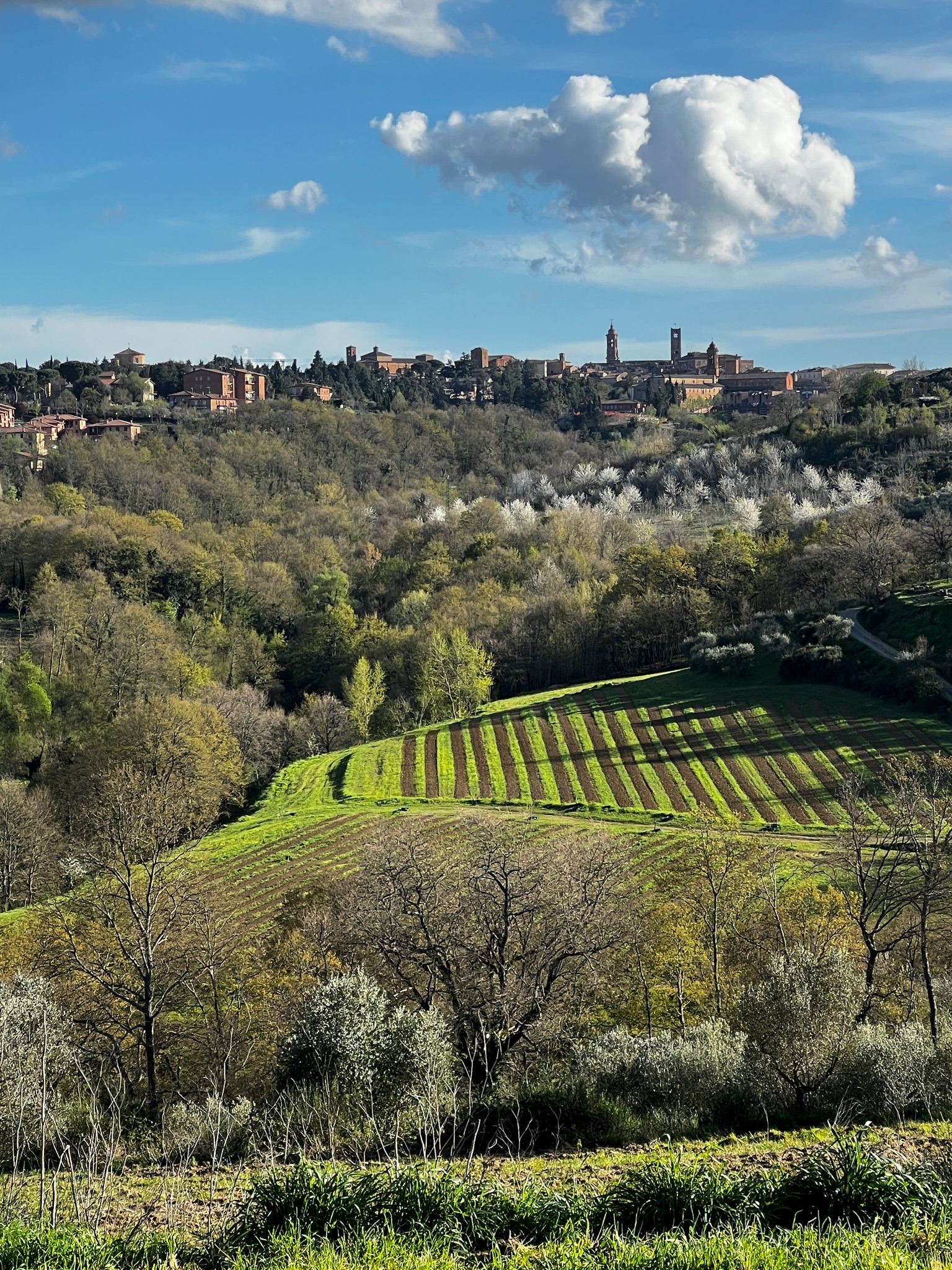 Umbria Agricultural Farm Best Agriturismo Umbria Untold Italy 2025