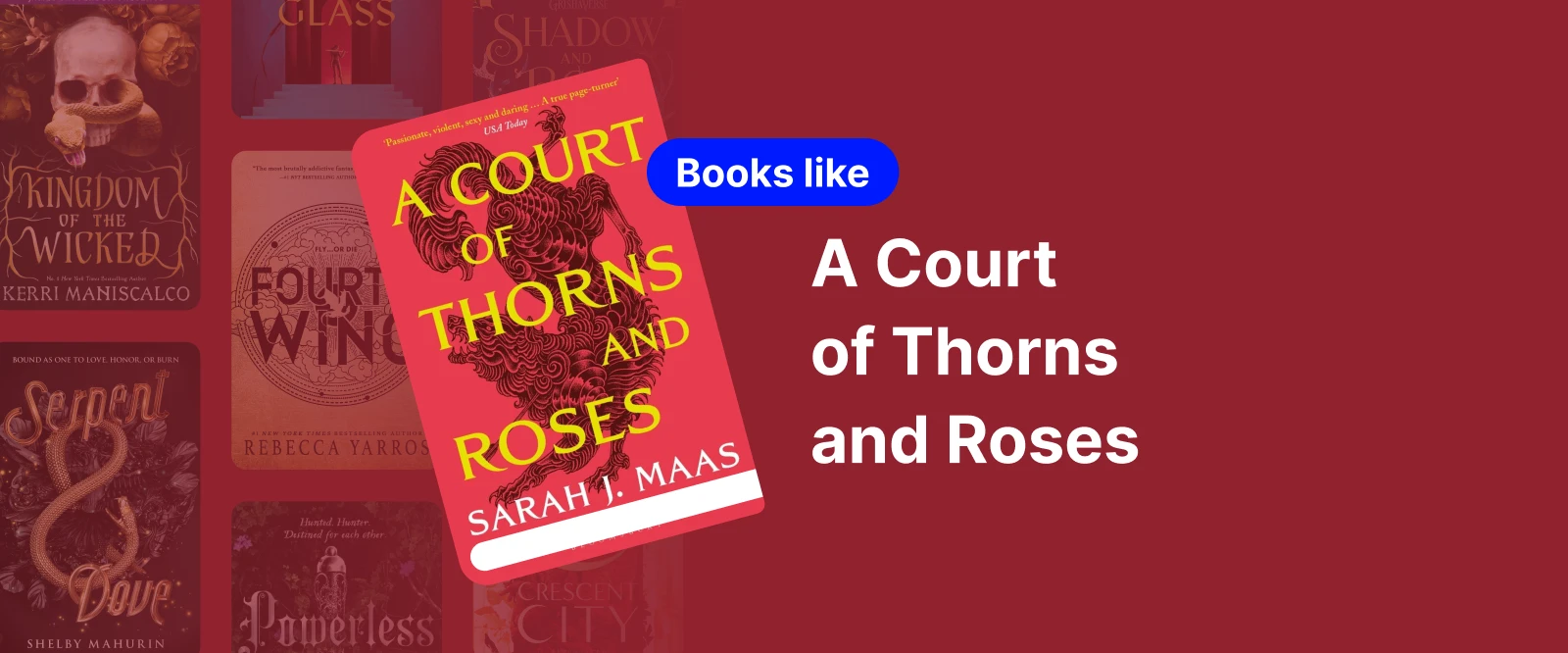 20 Must-Read Books Like 'A Court of Thorns and Roses'
