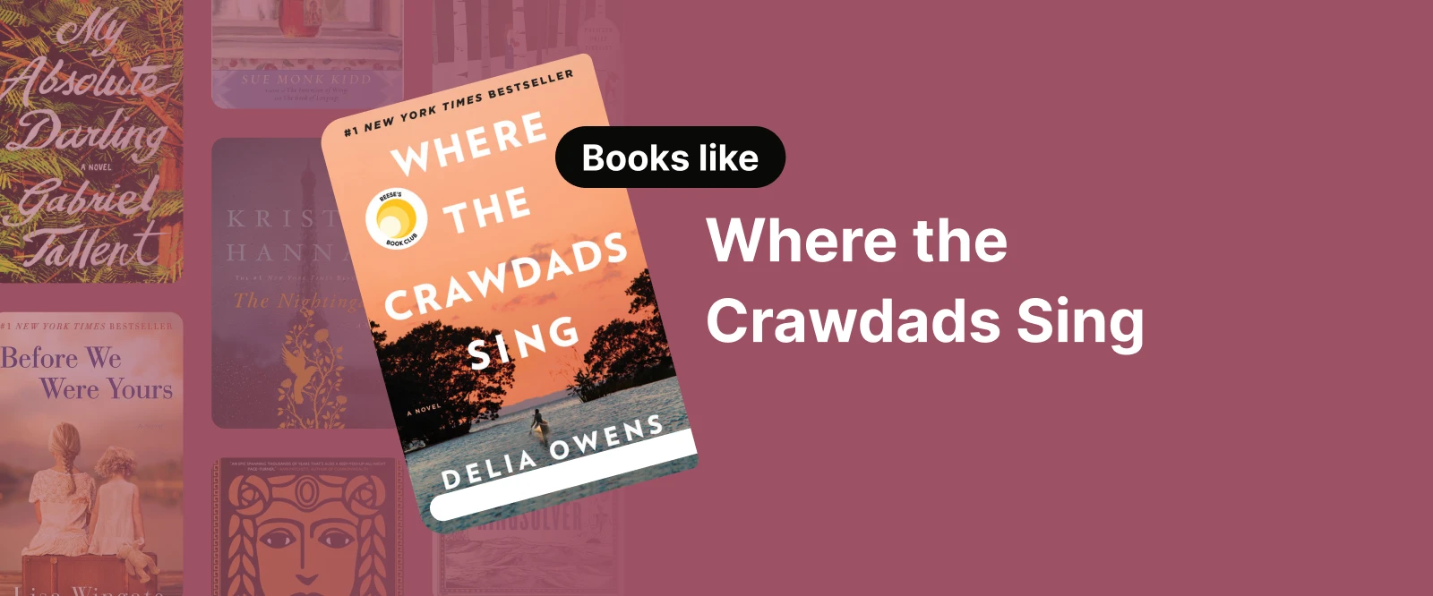 11 Books like Where the Crawdads Sing for readers who love fierce ...