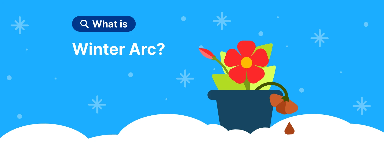What is the Winter Arc? Transform Yourself This Winter with These Tips