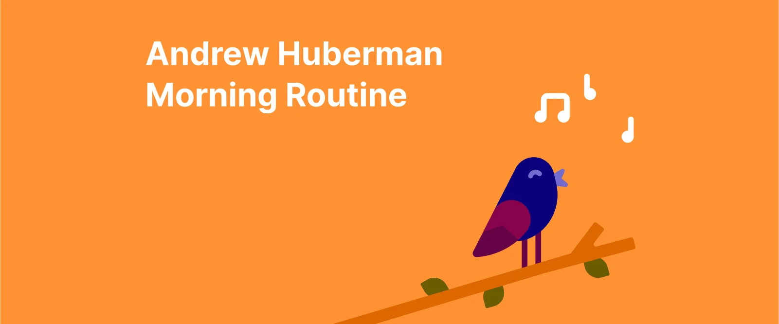 Andrew Huberman's Morning Routine: Make the Most of Your Early Hours