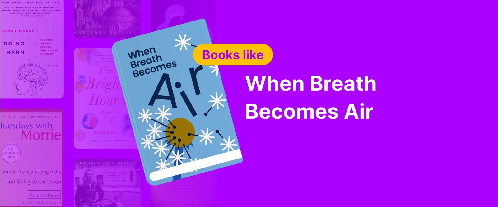 10 Books like 'When Breath Becomes Air' on Life and Death