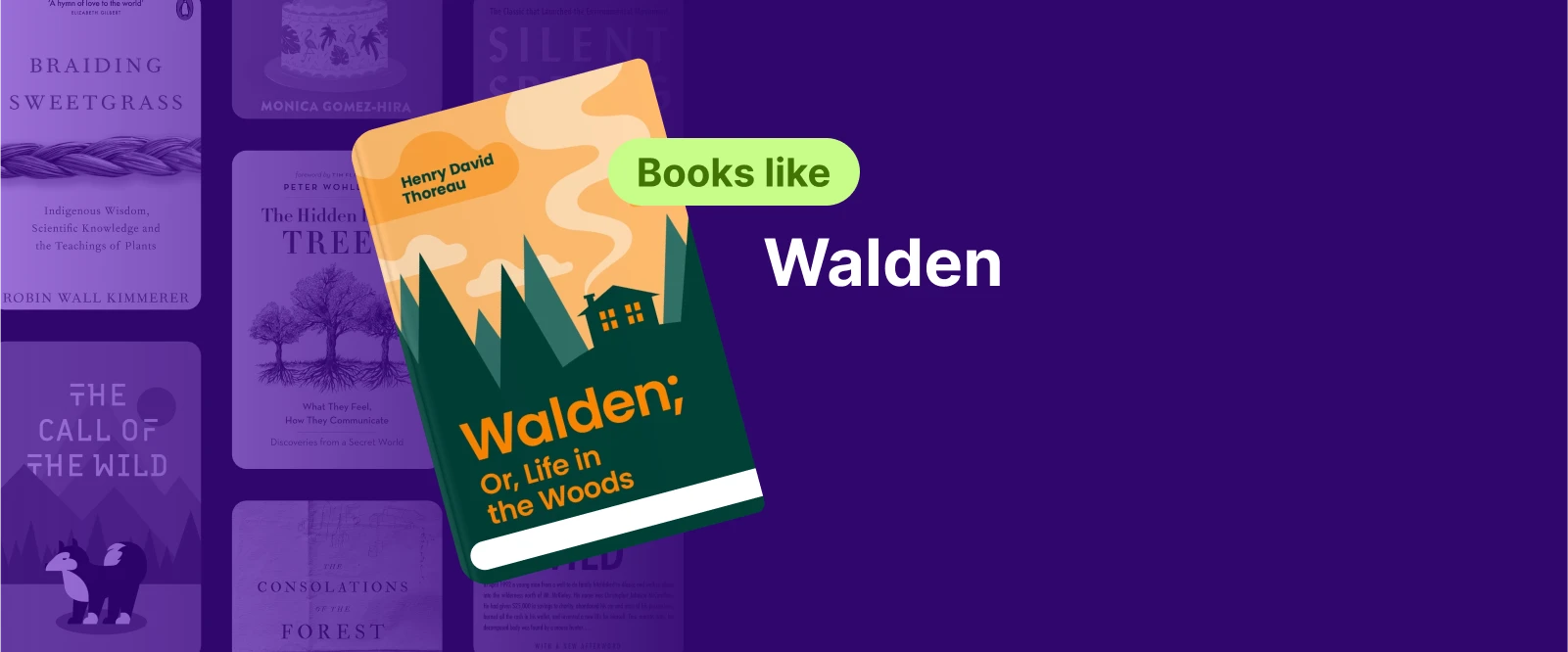 Books Like 'Walden': 17 Nature Classics for Simple Living